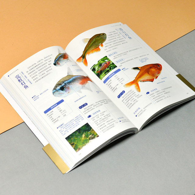 2 volumes of coated paper goldfish story book understanding of raising ...