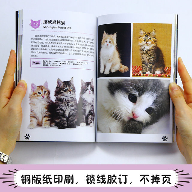 Cat Encyclopedia Cat Book 46 Kinds of Soft Cute Kitten Illustrated HD ...