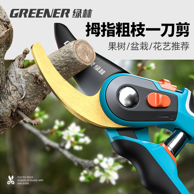Green forest gardening scissors, fruit tree pruning shears, special ...