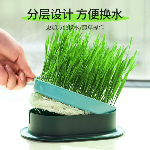 Cat grass potted seed nursery tray, lazy hydroponic hair ball tablets ...