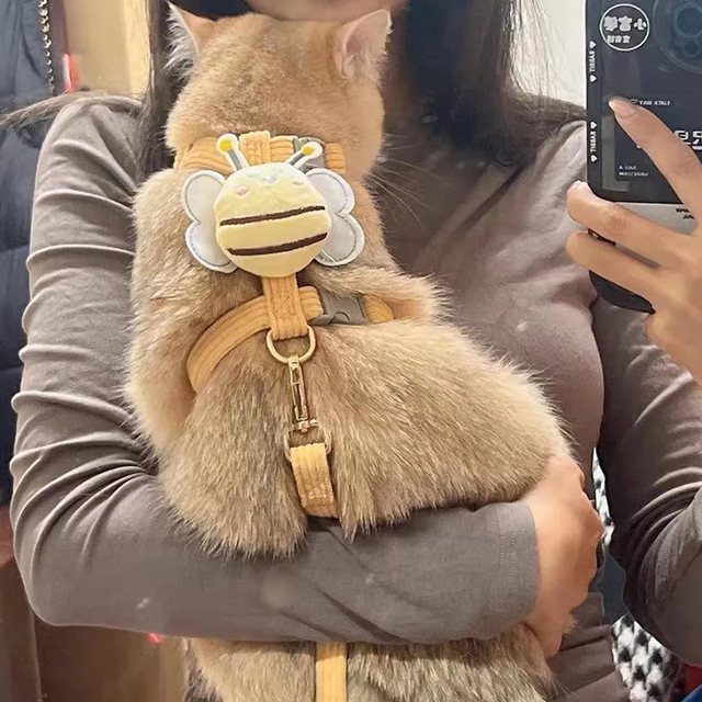 Cat traction rope to prevent break-away and go out, special vest-style ...