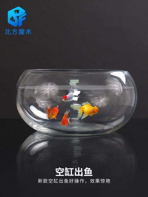 Northern Magic: Fish from the empty tank turned into goldfish Annual ...