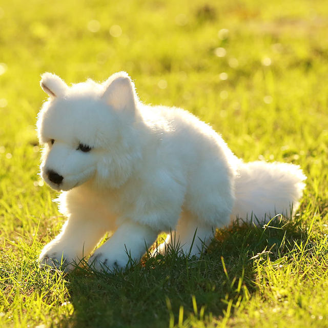 Genuine National Geographic Simulation Fox Plush Toy Healing Department ...