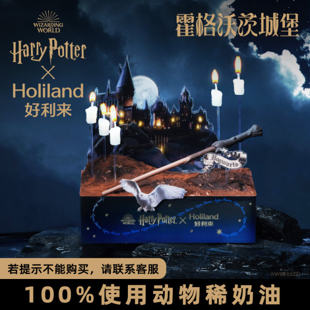 Holiland x Harry Potter joint birthday cake Hogwarts animal cream Austrian flavor same city delivery