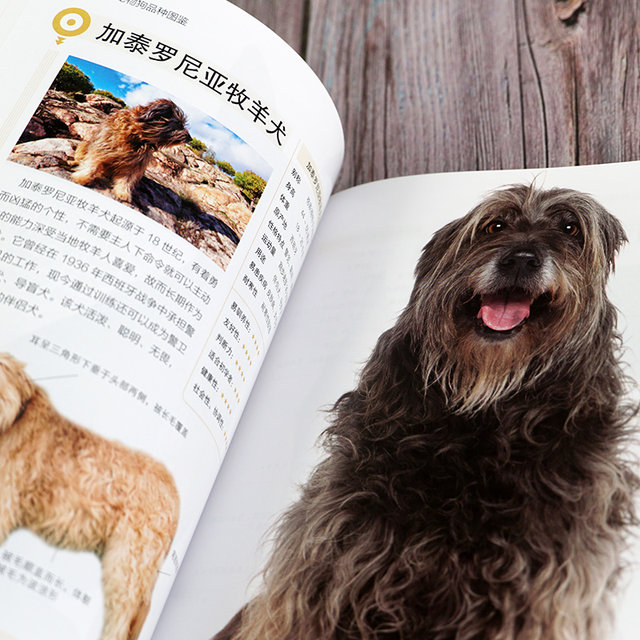 Genuine Book Named Pet Dog Variety Illustrated Book Pet Book Raising ...