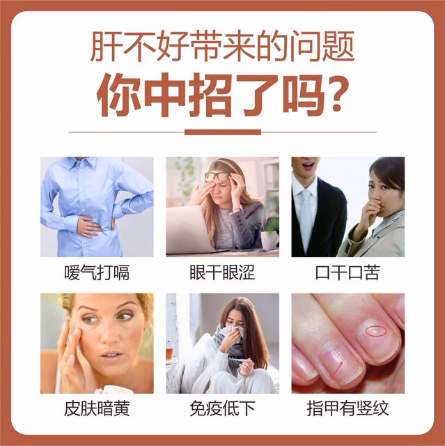 Authentic Li Shizhen Pueraria Reishi Ganoderma Liver Protection Tablets ...