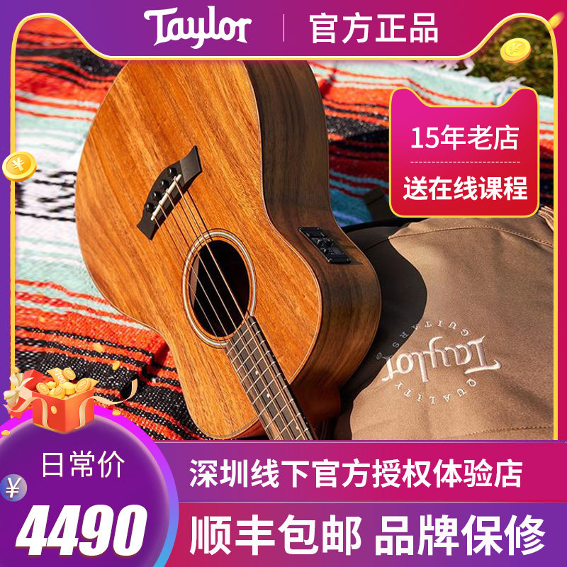 Taylor GS Mini BT1E Akustikgitarre - Fichtendecke, Ebenholzgriffbrett