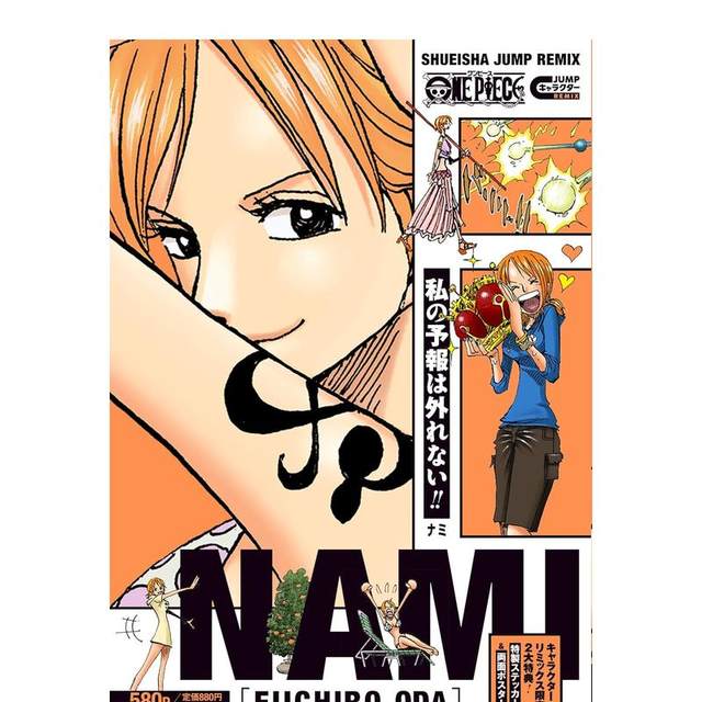 Japanese comics One Piece Character Book Nami ONE PIECE (Shueisha ...