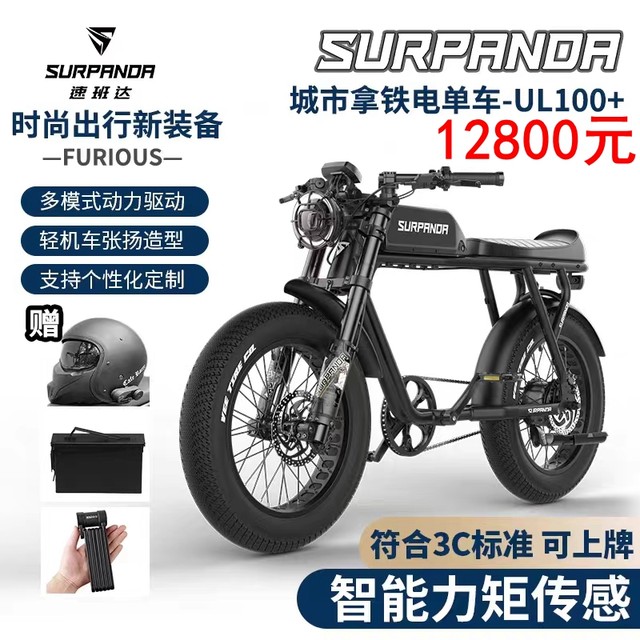 Surpanda Electric-Assisted Bicycle Retro 4.0 Snow Tire Electric Bike ...