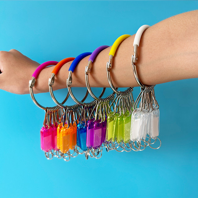 Landlord's key chain key disc disc keychain large ring storage artifact ...