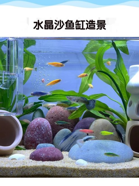 Natural crystal sand fish tank native bottom sand landscape decoration ...