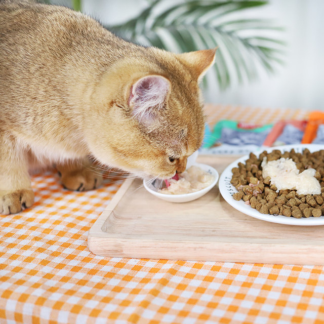 Naughty fresh package cat snacks wonderful fresh wet food package cat ...