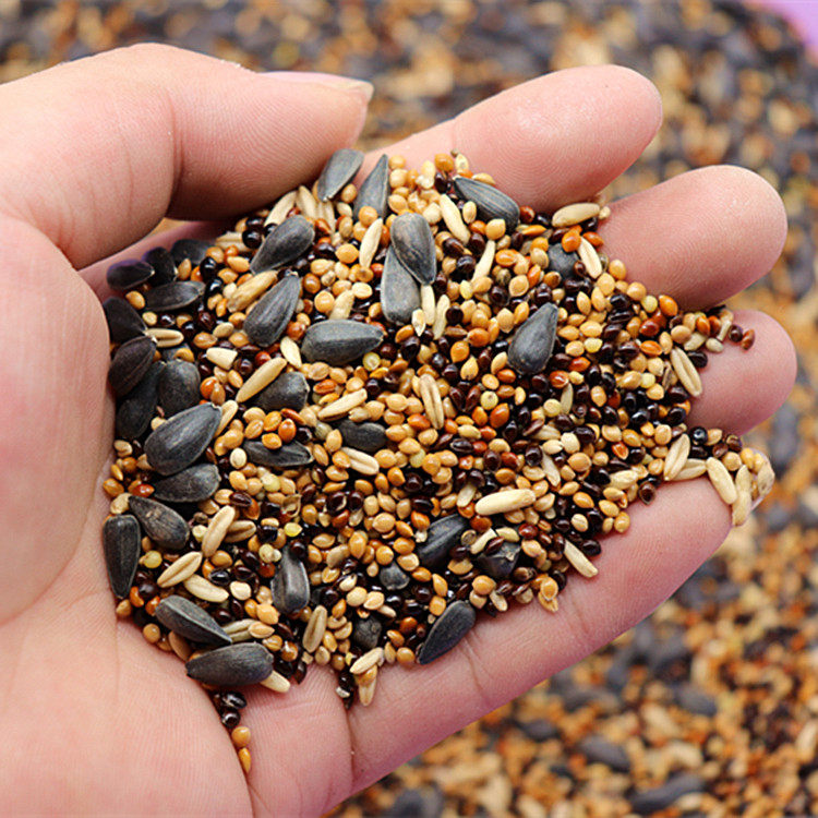 Tiger skin peony Xuanfeng small and medium-sized parrot bird food feed ...