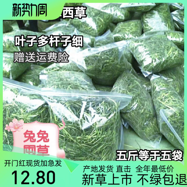 Spot dried Timothy hay rabbit chinchilla guinea pig rat pet supplies ...