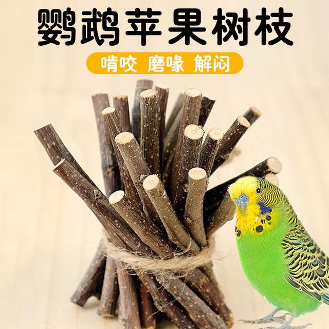 Little sunbird parrot teeth grinding stick bite toys to remove beak ...