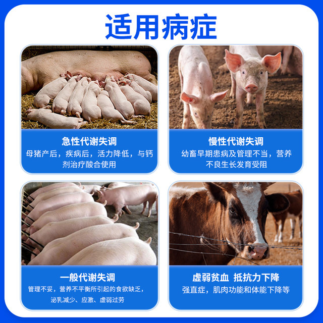 Zhonglong Shenli Compound Butasfosfor Veterinary Injection Sow Pig ...