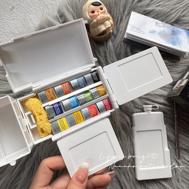 Windsor Newton Artist Solid Watercolor 12 Color Travel White Box ...