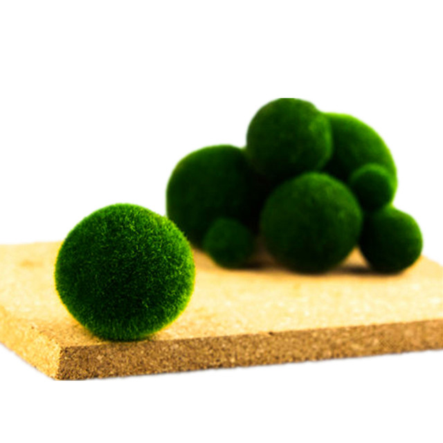 Malimo seaweed ball micro -landscape ecological bottle fish tank indoor ...