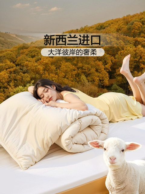 Fuanna 100% wool quilt imported from New Zealand pure wool quilt ...