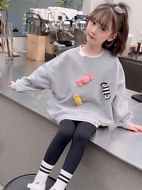 2024 Gray long -sleeved clothes new little girl spring and autumn girl ...