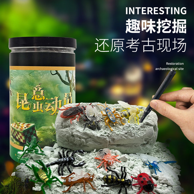 Insect Story children's treasure archeology unearthed 12 kinds of ...