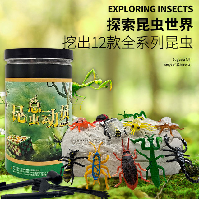 Insect Story children's treasure archeology unearthed 12 kinds of ...