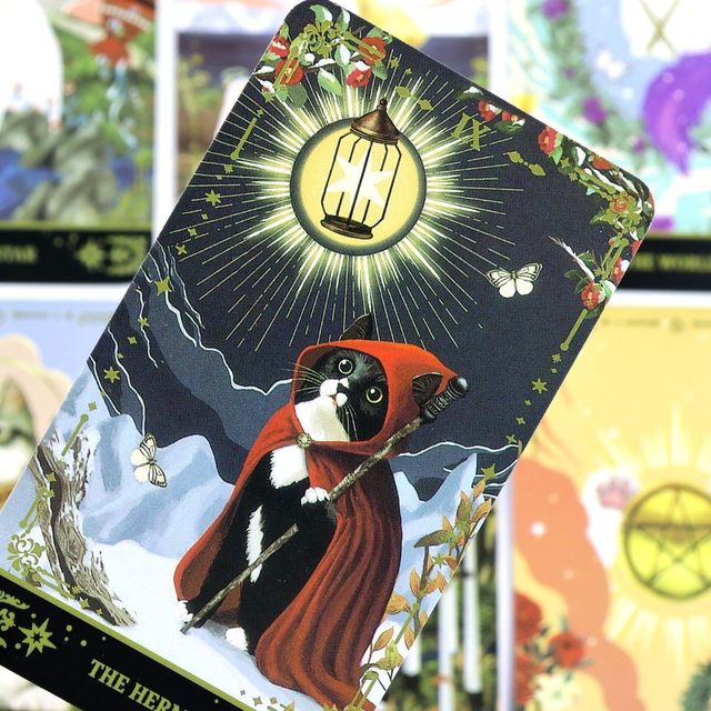 Muse cat carrot card cute cat carrot card tower board game waiter taro ...