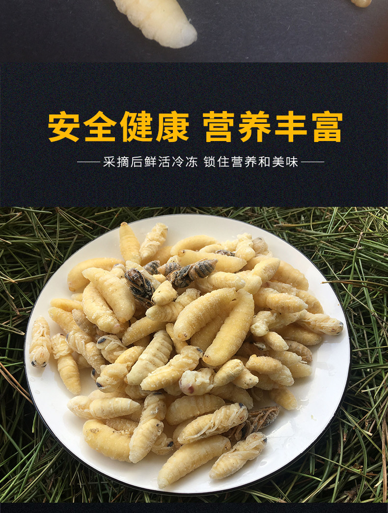 Deep mountain bee pupae, fried tiger mines, live hornets | Jin guanyan