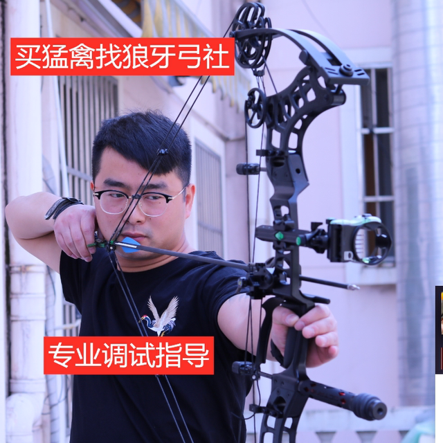 Raptor XPRO dual-purpose compound bow steel ball archery non-night ...