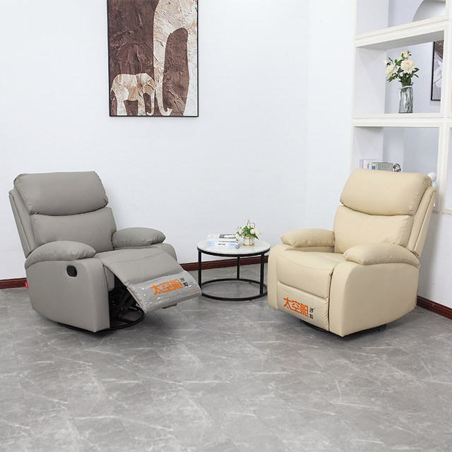 First class space capsule sofa cat claw leather small apartment sofa ...