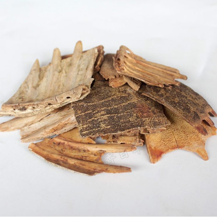 Roasted turtle shell, Chinese herbal medicine, vinegar, turtle shell ...