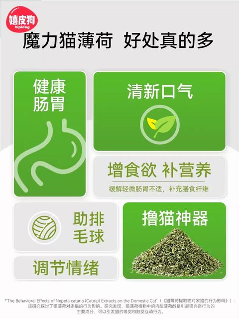 Edible catnip high quality high-purity catnip drinking water pure ...