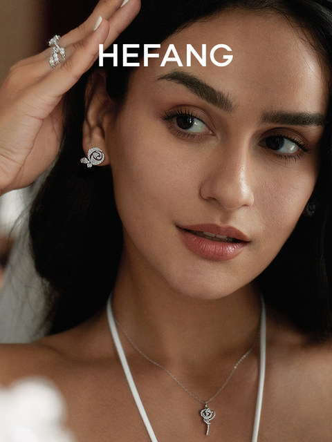 Hefang Elegant Rose Stud Earrings and Ear Clips, Light Luxury High-End Jewelry Earrings ...