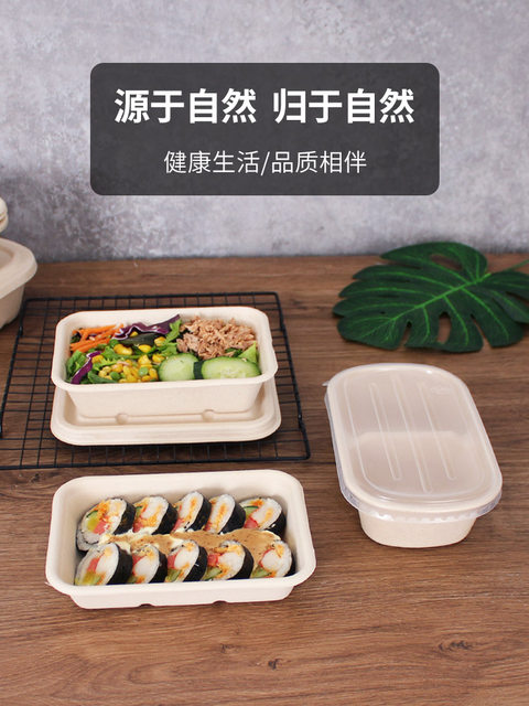 Light food packing box takeaway rice box disposable double -grid box ...