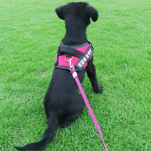 Dog leash vest-style dog harness chest strap K9 golden retriever Teddy ...