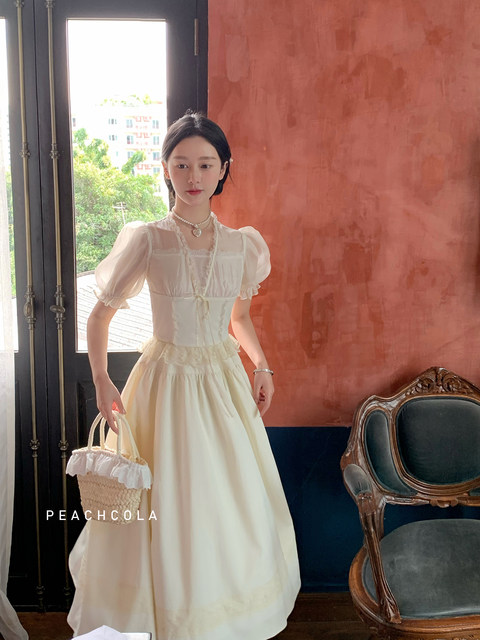 Panel Lace Lace Palace Vedic Vedic Dress