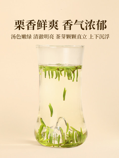 Tianfu Longya Yulong 2025 New Tea Yibin Early Spring Tea Green Tea Tea ...