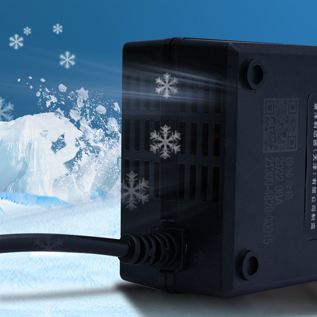 Emma electric tricycle charger original official authentic lead-acid ...