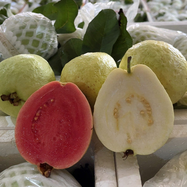 Red and white guava, Guangxi cream, pomegranate old tree, soft and ...