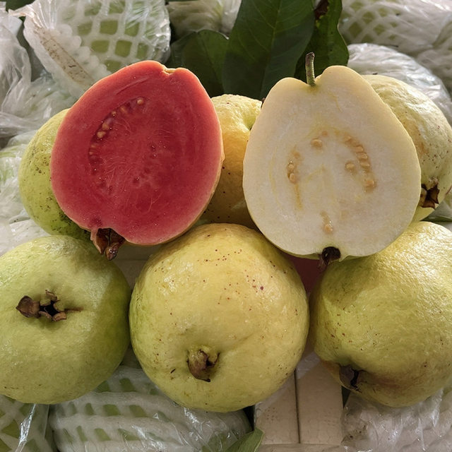 Red and white guava, Guangxi cream, pomegranate old tree, soft and ...