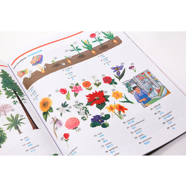 Oxford English-Chinese Picture Dictionary oxfordpicturedictionaryopd ...