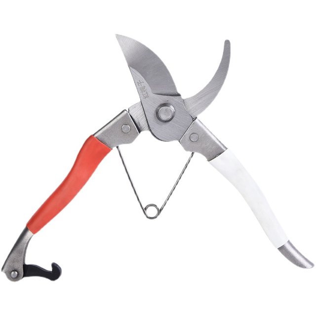 Stainless steel branch pruning shears for picking fruits and flowers ...