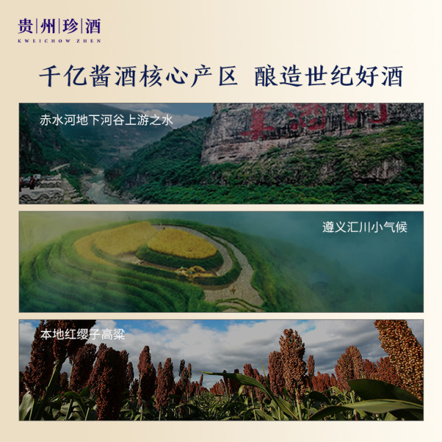 Guizhou Zhenjiu Zhen Hardware Edition 53 degree 500ml*6 Kunsha Sauce ...