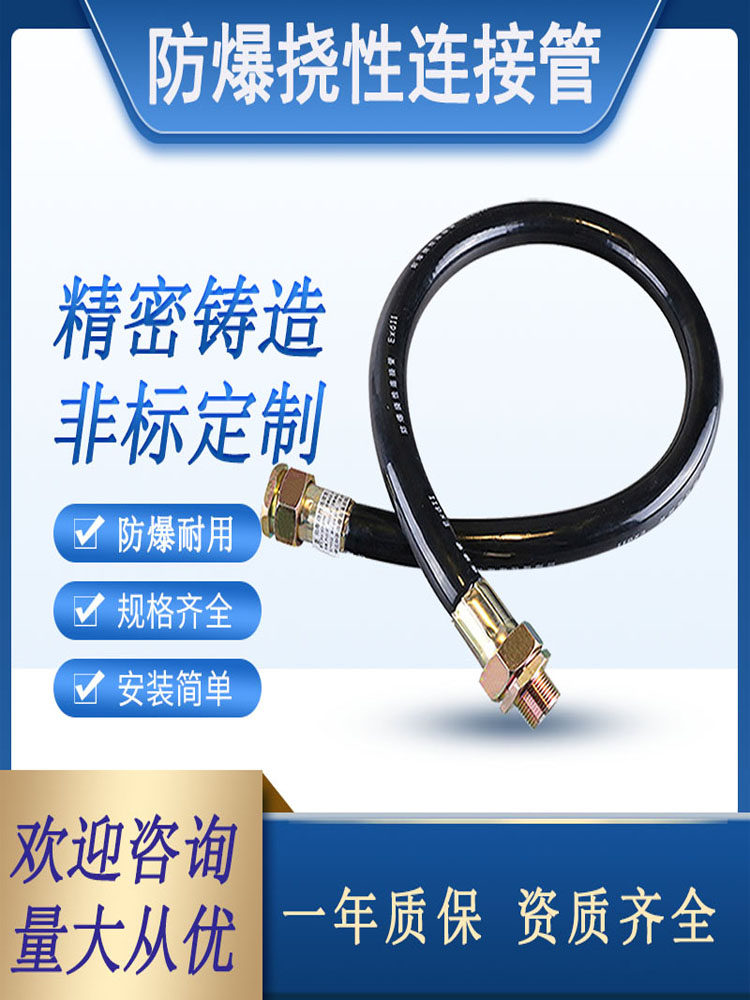 Explosion-Proof Flexible Connecting Hose Stainless Steel Metal Pipe M20 ...