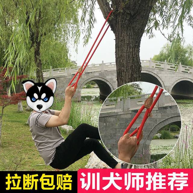 Dog P leash explosion-proof dog leash training dog P chain small medium ...