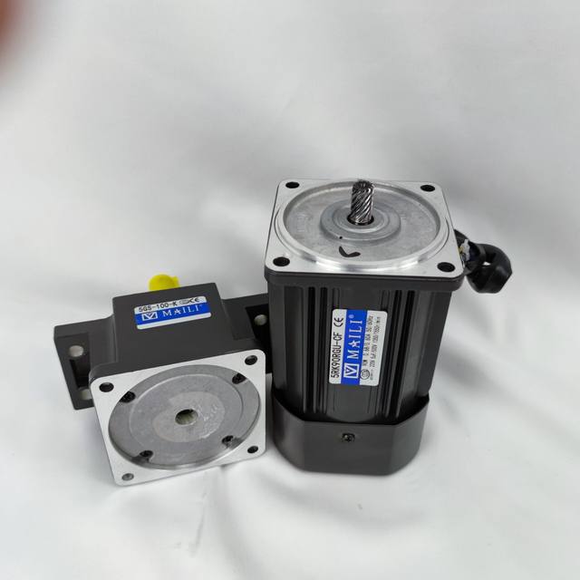 MAILI motor 15W25W40W60W120W200W250W single-phase small deceleration ...