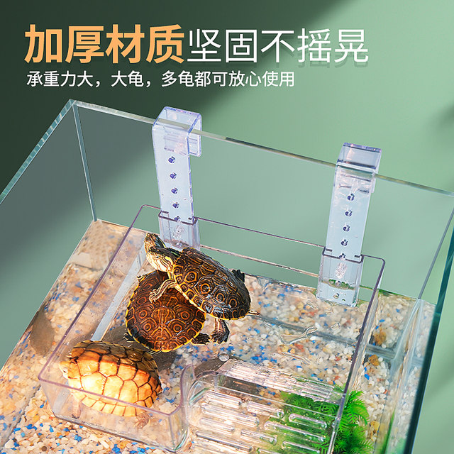 Turtle basking platform climbing platform wall-mounted acrylic basking ...