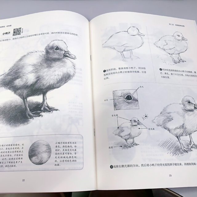 Sketch basic tutorial, a complete 6-volume sketch book, introductory ...