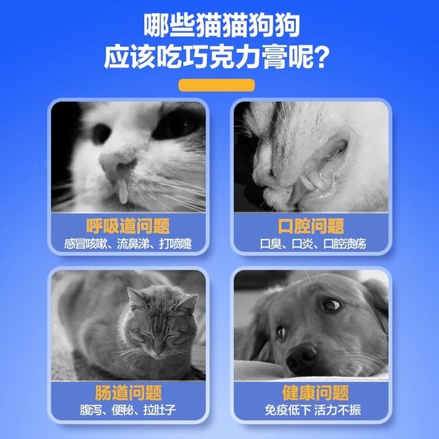 Connni chocolate cream for pets, dogs, colds, coughs, stomatitis, cat ...