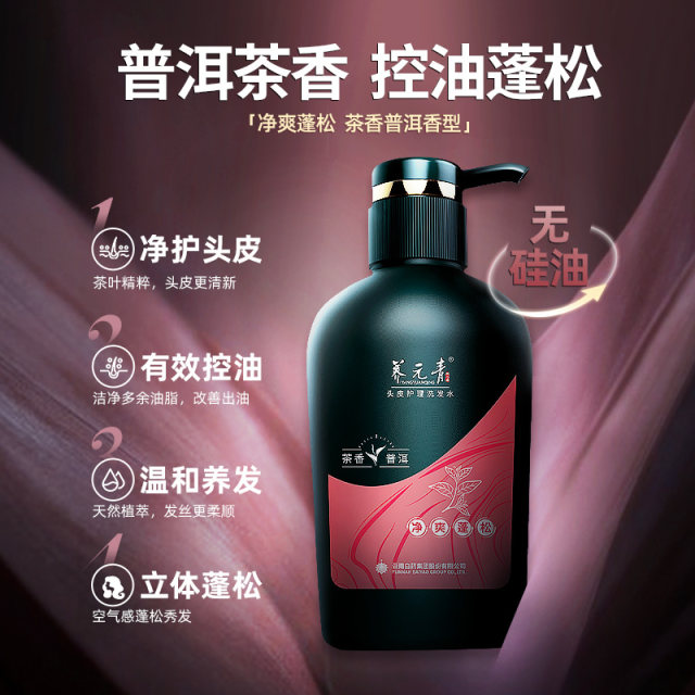 Yunnan Baiyao Yangyuanqing Shampoo Ginger Tea Essence Silicone-Free ...